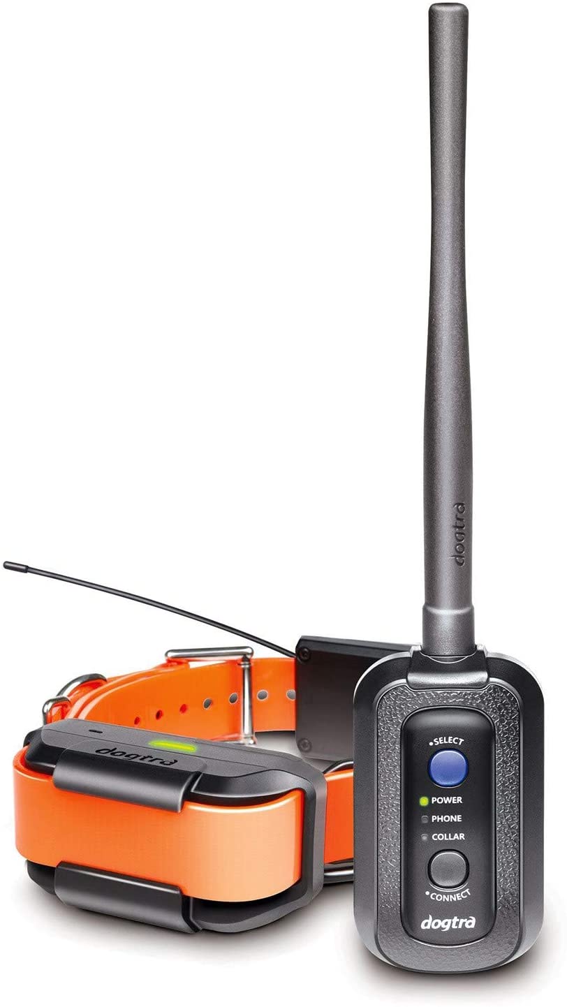 Dogtra Pathfinder – Avis & test sur ce collier GPS
